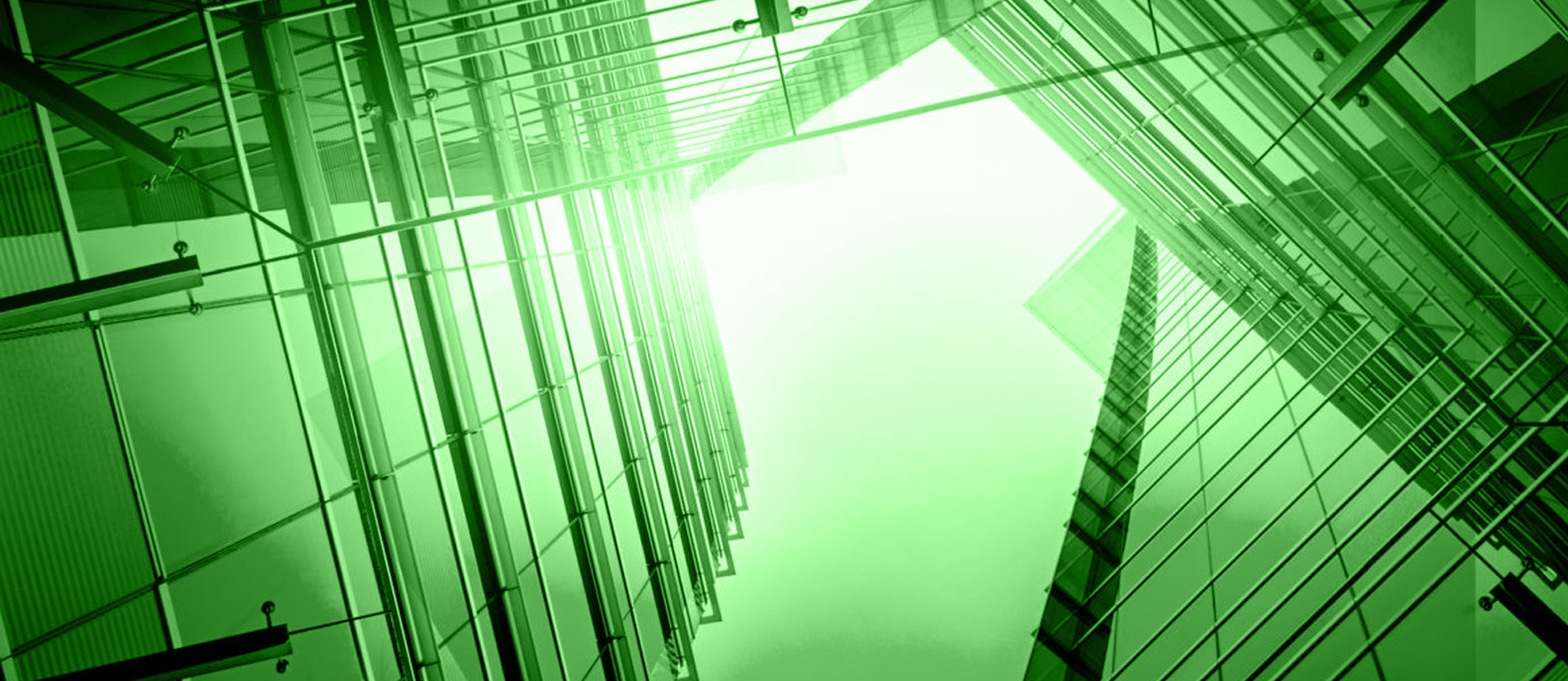 Microsite - The Leaders Group - AMS Financial Solutions Group